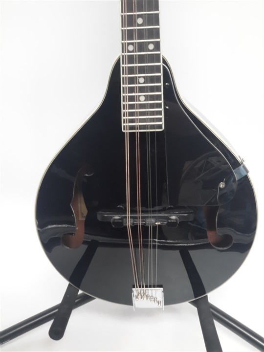 Hock Shop Marketplace | BLACK MADERA M 122 MANDOLIN