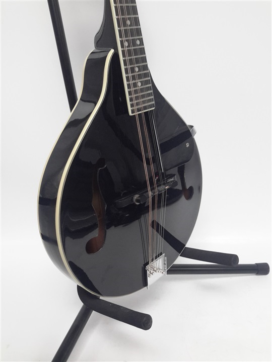 Hock Shop Marketplace | BLACK MADERA M 122 MANDOLIN